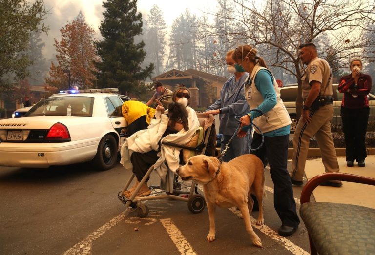 Haunting Pictures Show Animals Fleeing The California Wildfires ...