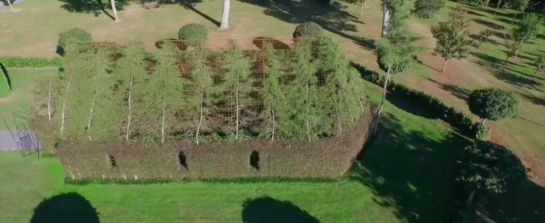 Man Spends 4 Years Building A Church Using Only Living Trees - See ...
