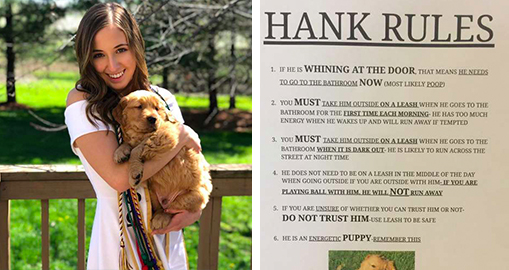 Naughty Dog Comes With A 'List Of Rules' For Friends And Family ...