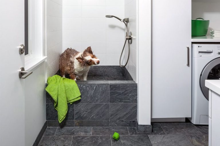 More People Are Installing Dog Showers In There Homes - Goodfullness