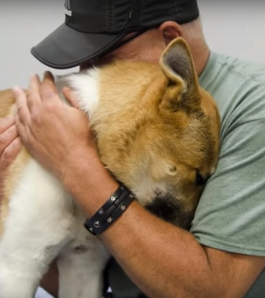 Man Finds Dog Abandoned Injured, Rushes To Save His Life - Goodfullness